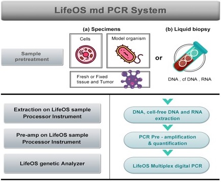 mdPCR™ 100-plex Digital PCR Technology | LifeOS Genomics
